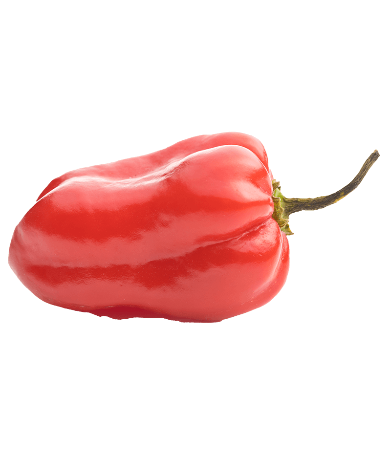 Habanero Chili online kaufen | Früchtepost